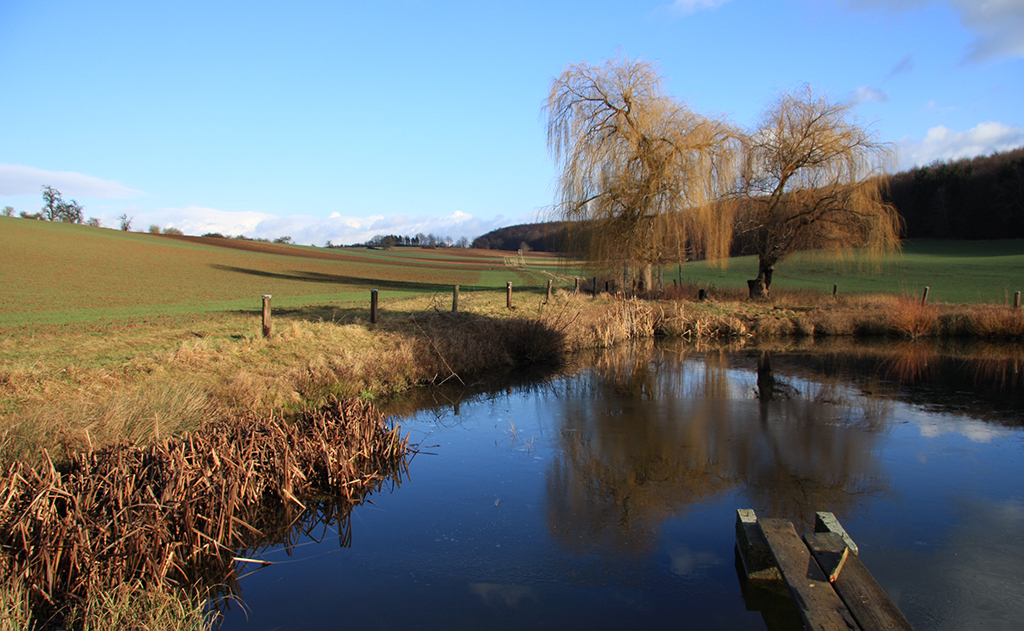 Galerie - DER HAMMERSBACHER