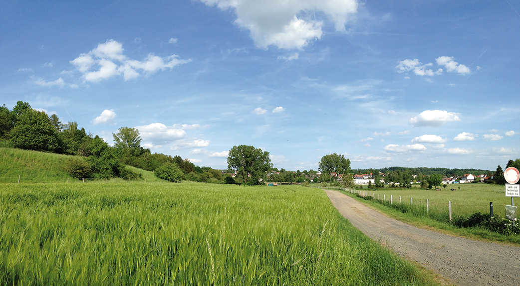 Galerie - DER HAMMERSBACHER